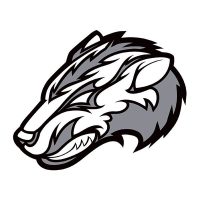 Logo Gallery | Team Fitz Graphics