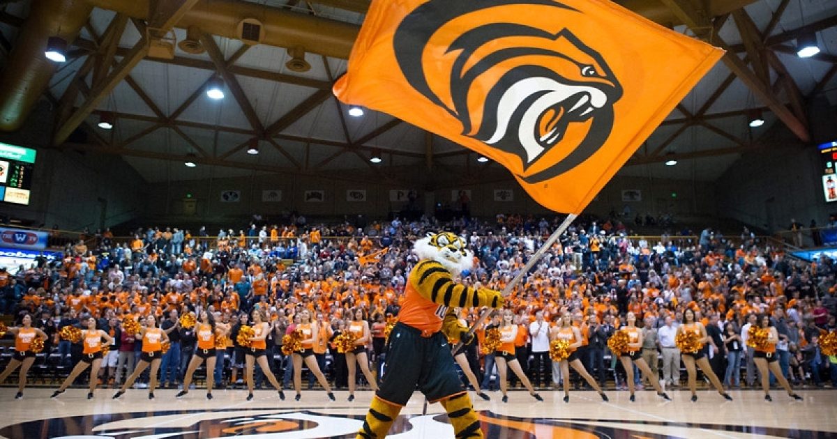 Custom Athletic Graphics | Team Fitz Graphics