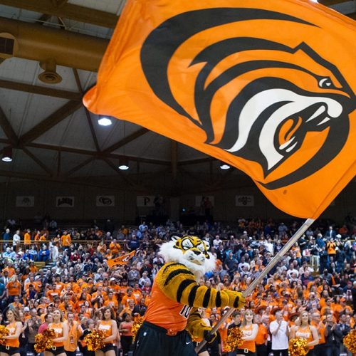 Custom Athletic Graphics | Team Fitz Graphics