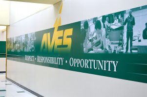 Large Format Wall Graphics | Team Fitz Graphics