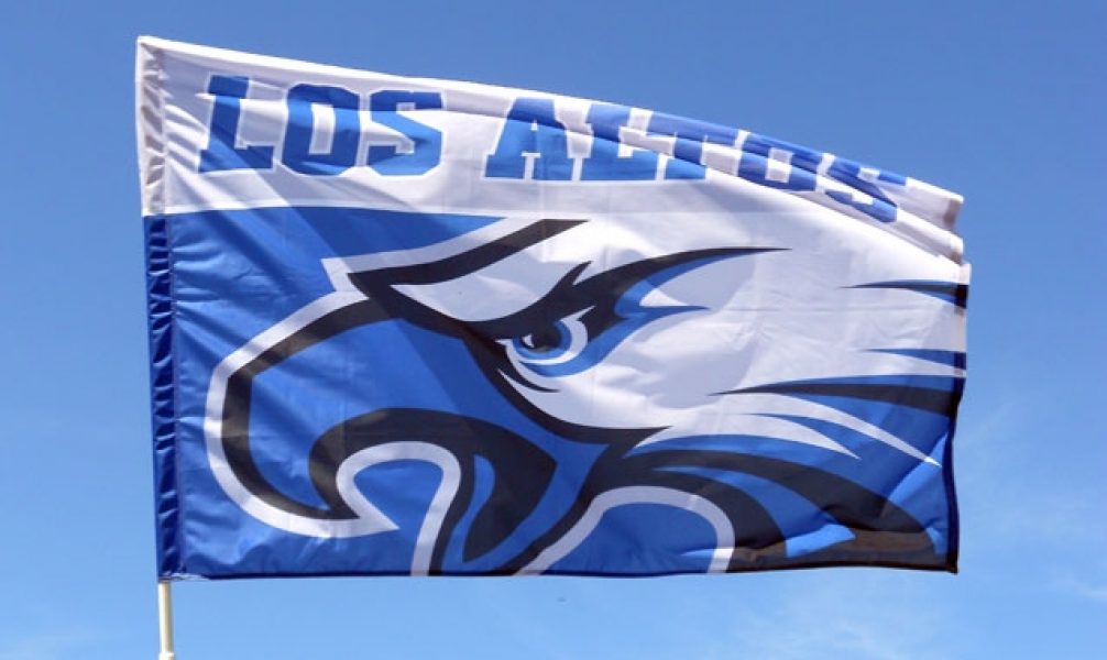 Field Runner Cheer Flags | Team Fitz Graphics