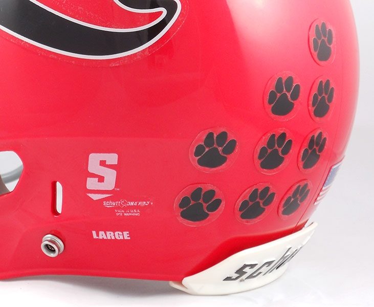 Football Helmet Pride Stickers
