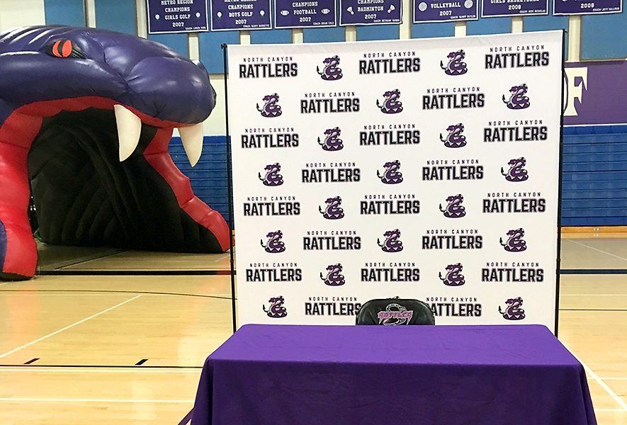 Football Press Conference Backdrop