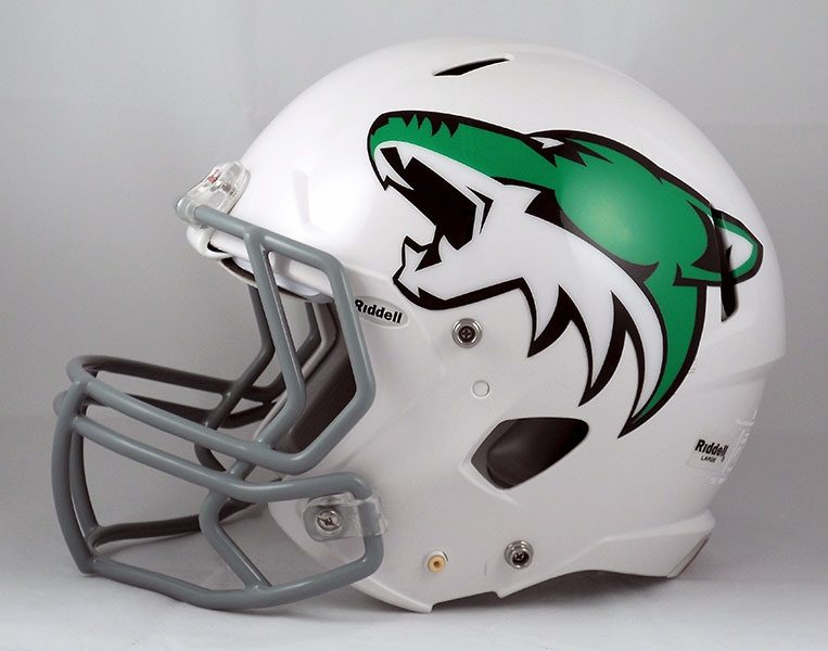 High School Football Helmet Decals